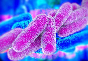 Prevention or cure – legionella prevention in heat networks - CIBSE Journal
