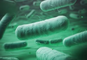 Minimising risk of legionella in domestic water services - CIBSE Journal