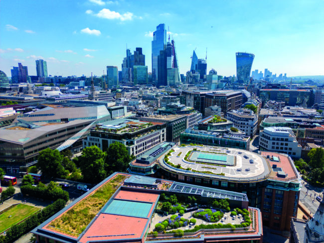 More professionals now work on net zero projects - CIBSE Journal